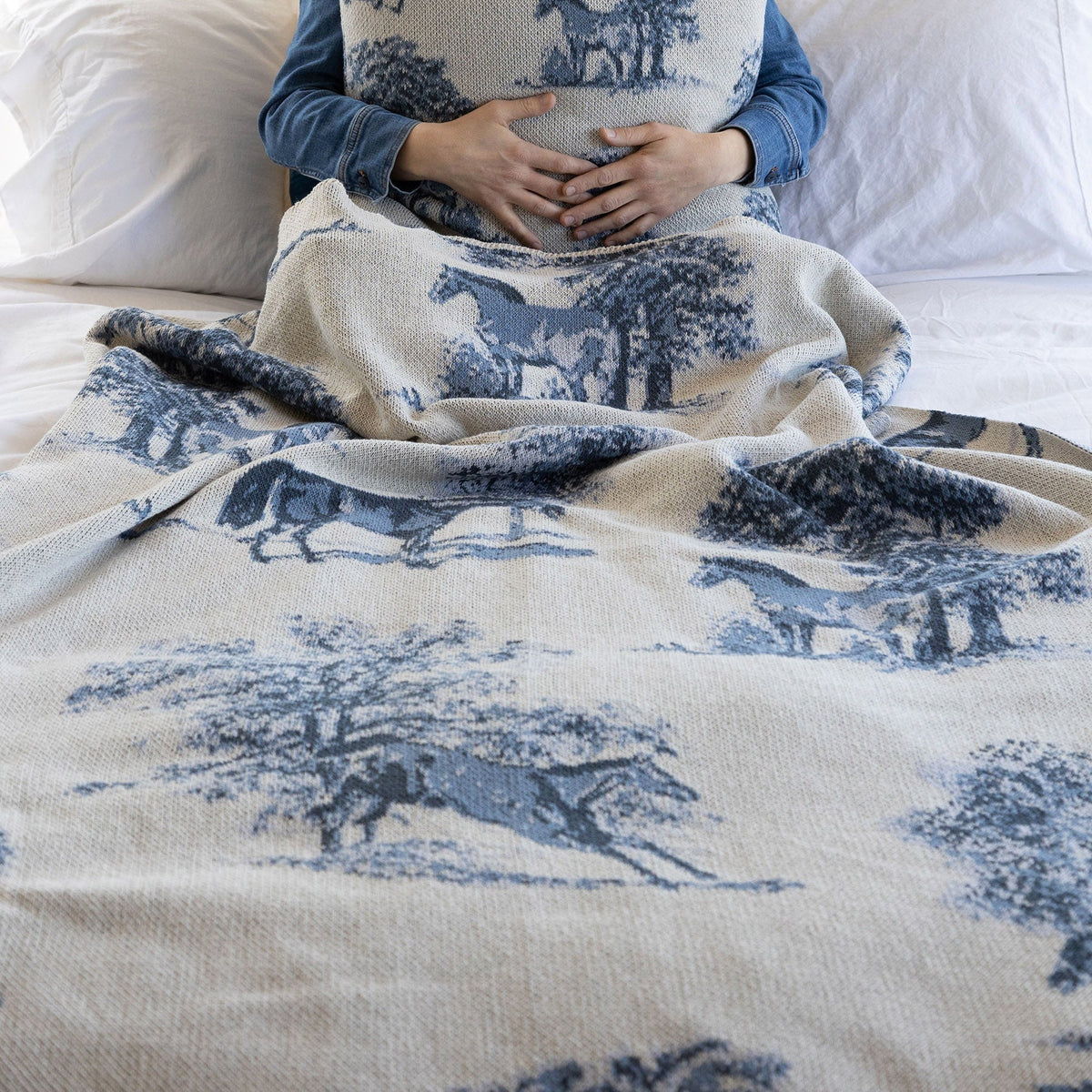 Equestrian Toile Throw Blanket – Jones & Daughters